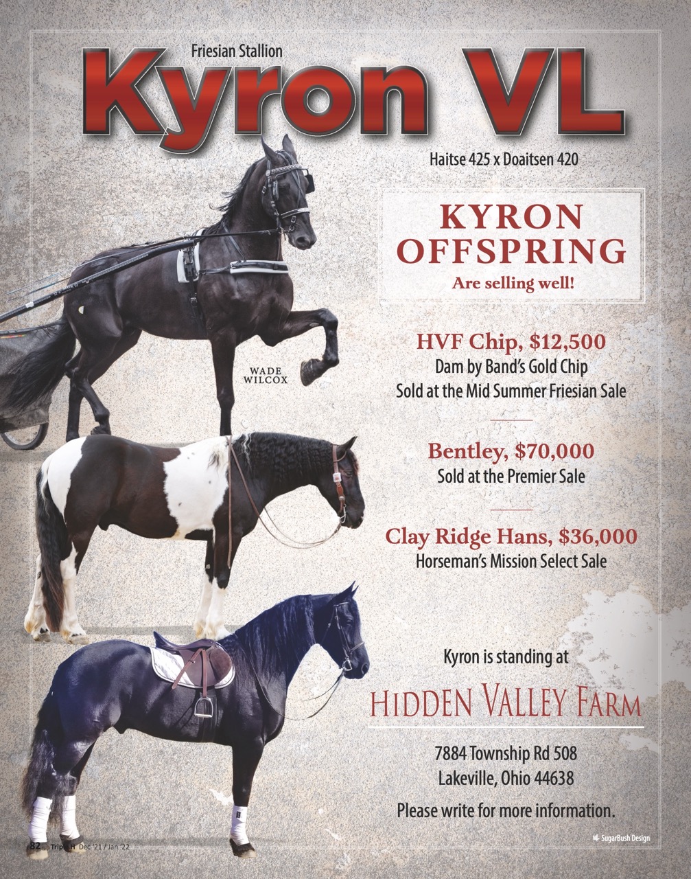 Kyron VL