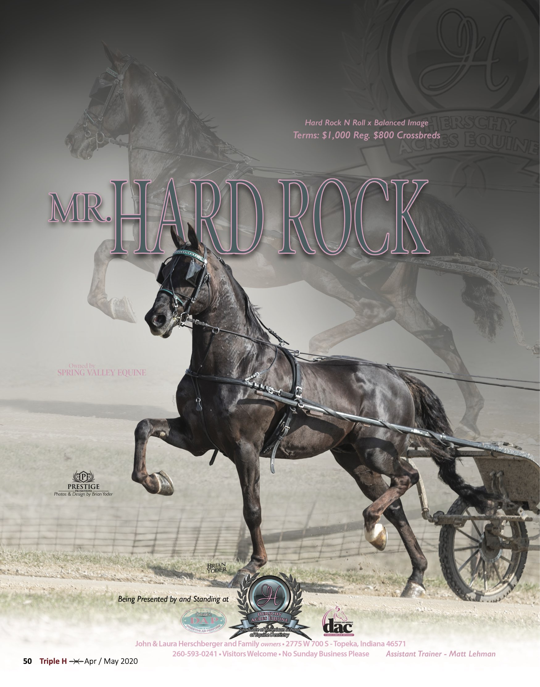 (Hard Rock) Mr